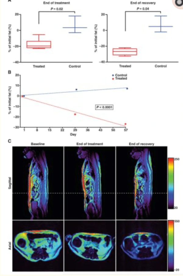 Adipotide FTPP | Buy Adipotide | Weight Loss | Peptides World